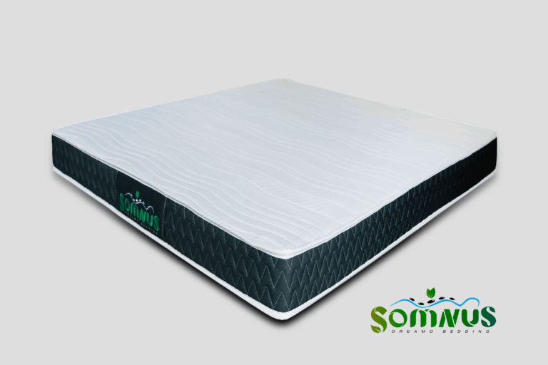 Somnus 1 – Dreamo
